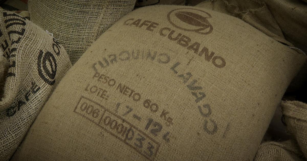 Tip Top Coffee: Une histoire de famille et la passion du café. | Boukè ...