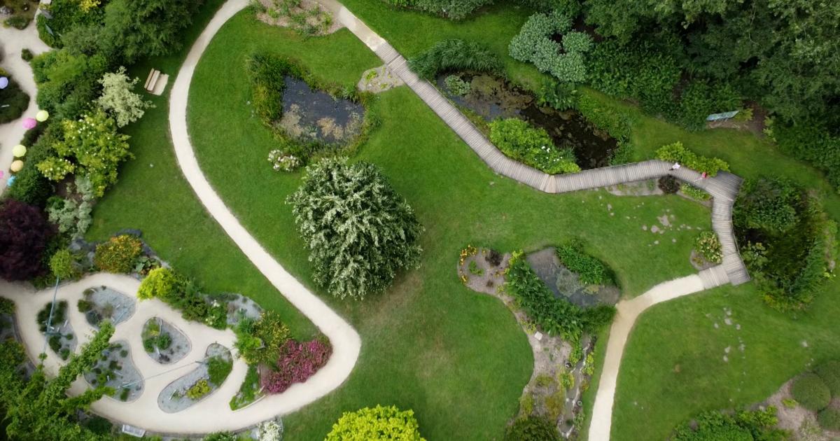 Les jardins du lac de Bambois: Un voyage entre faune et flore | Boukè ...