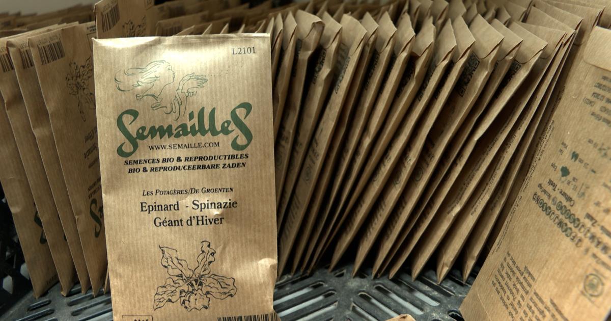 Depuis 25 ans "Semailles" produit des graines régionales et ...